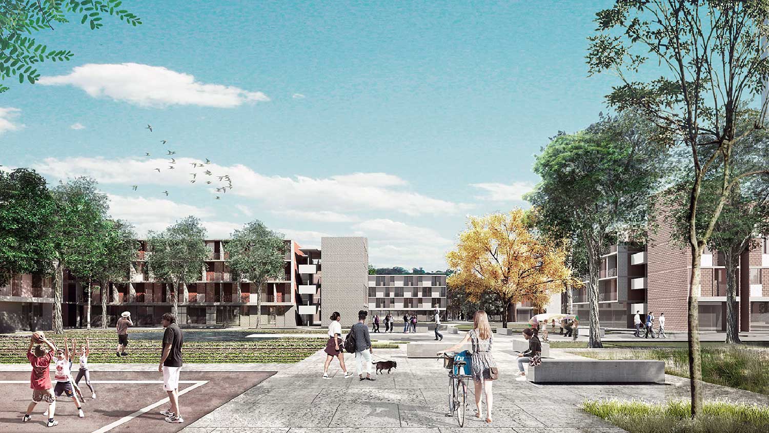 SETOR HABITACIONAL QNR06 CEILÂNDIA - Vaga Arquitetura